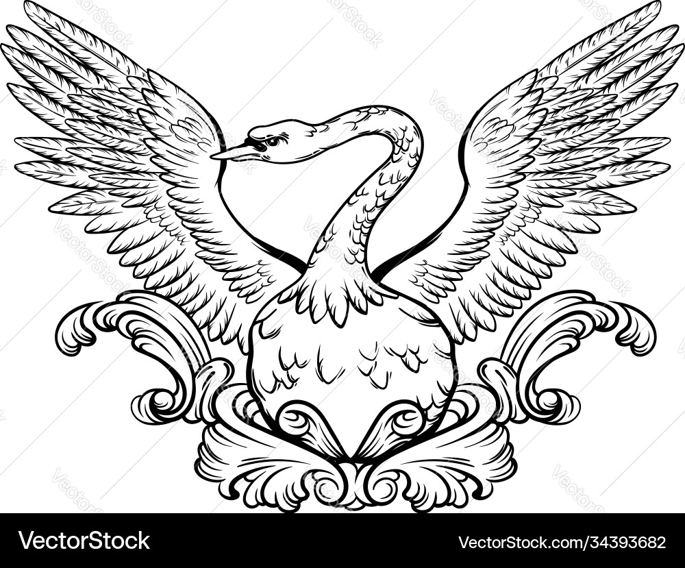Hand drawn swan with beautiful wings and Vector Image