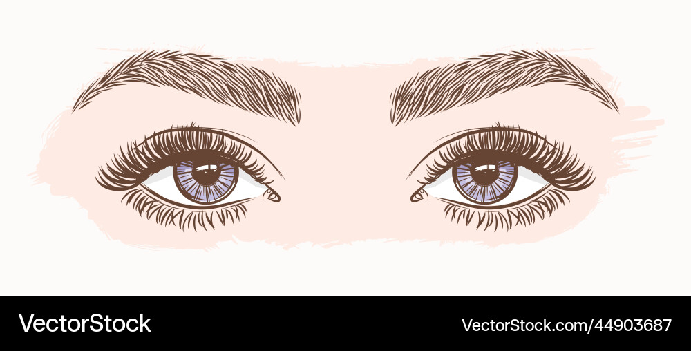 Hand drawn beautiful female blue eyes Royalty Free Vector