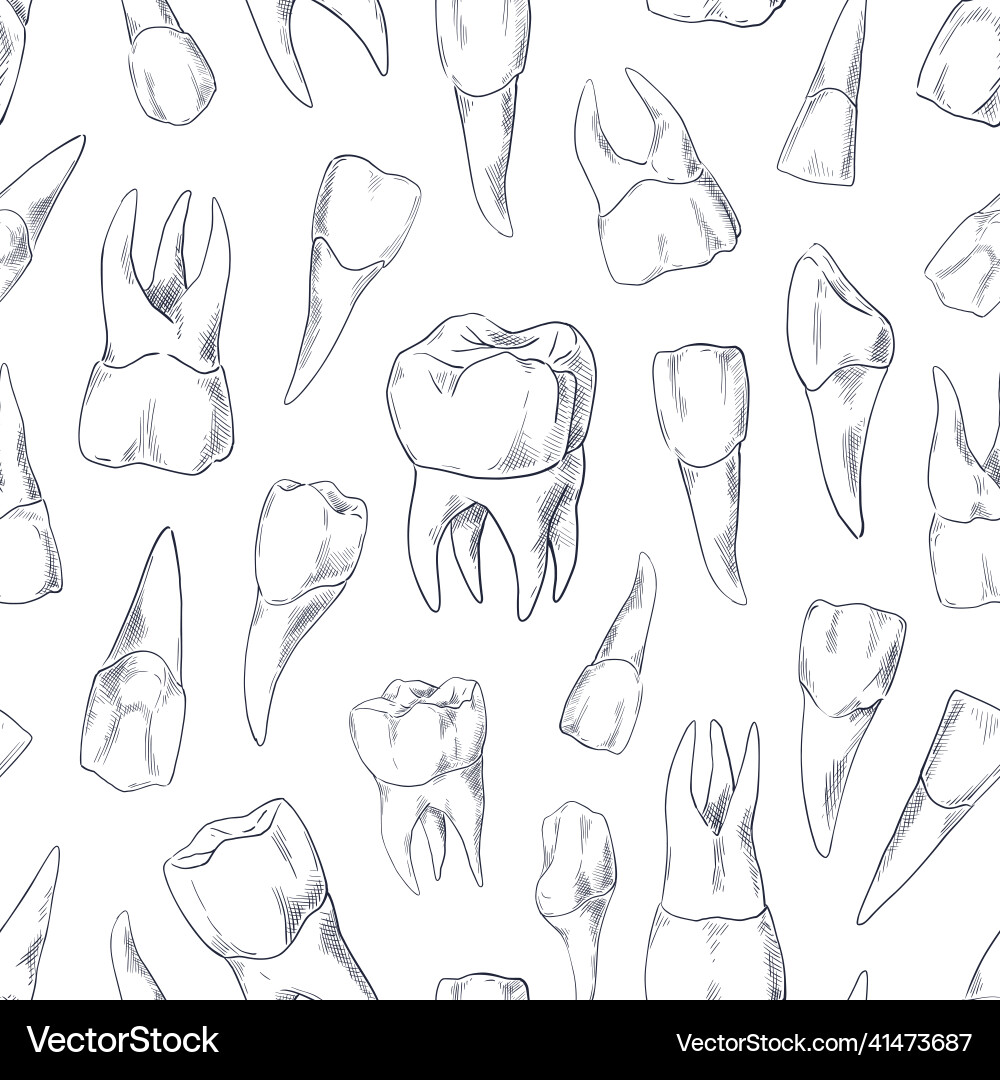 Teeth sketch pattern seamless print of hand drawn Vector Image