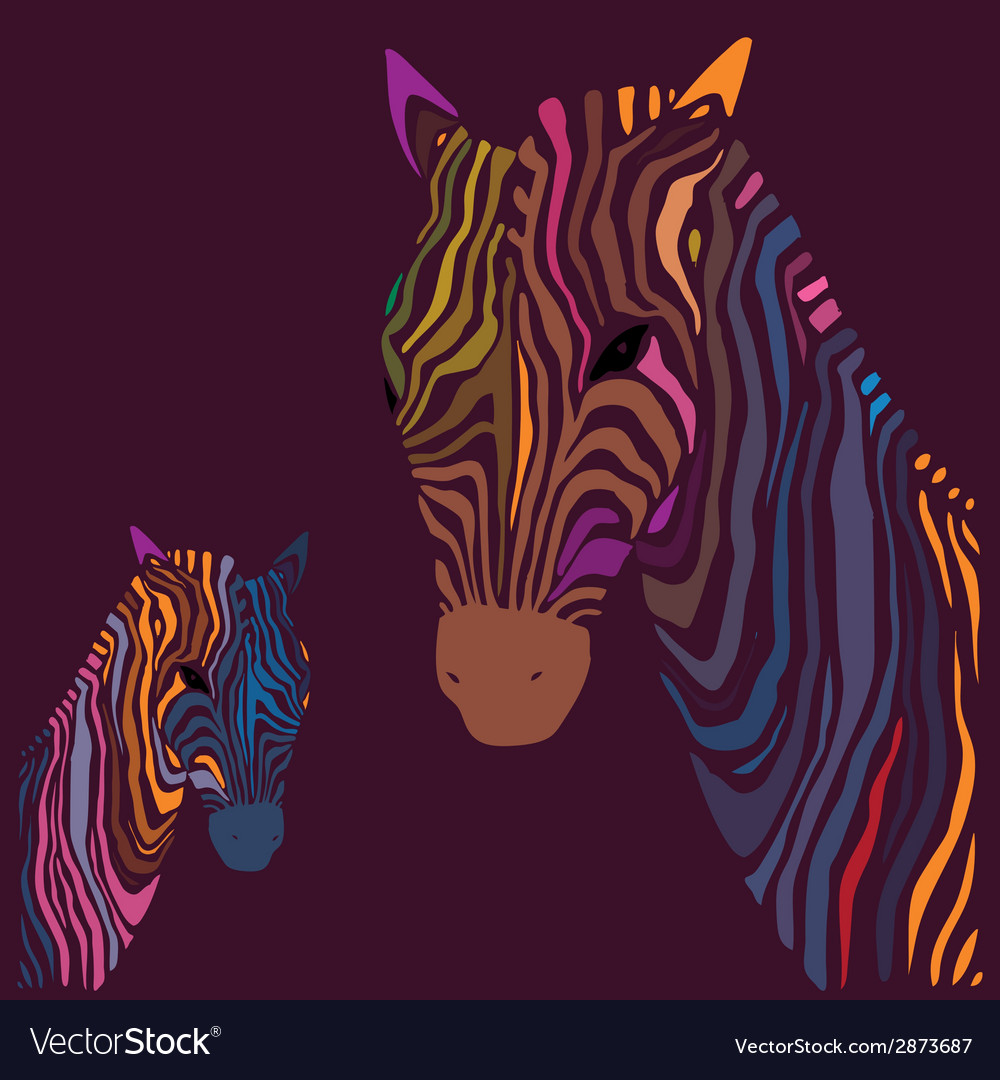 Zebra Royalty Free Vector Image - VectorStock