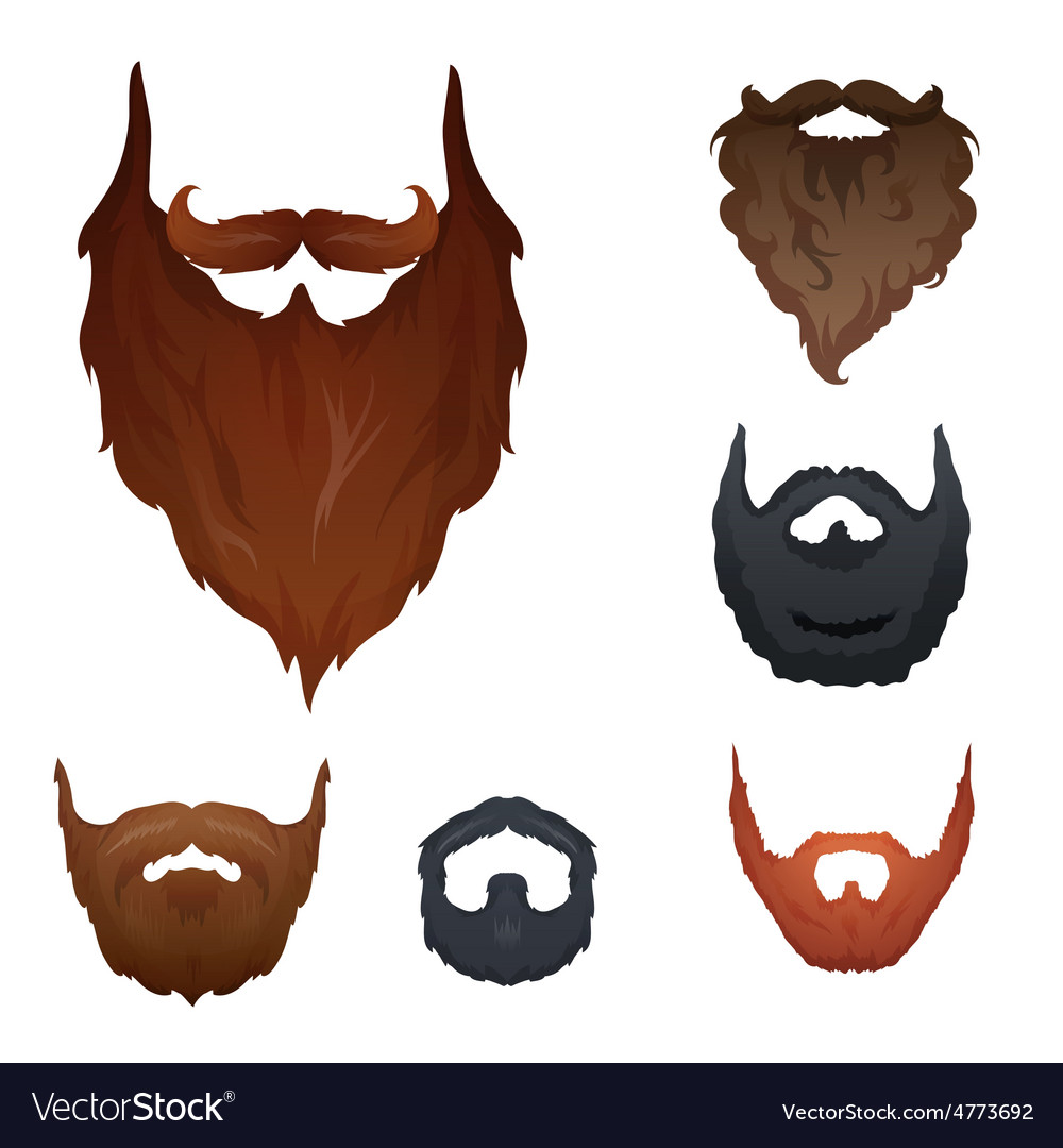 Set beards Royalty Free Vector Image - VectorStock