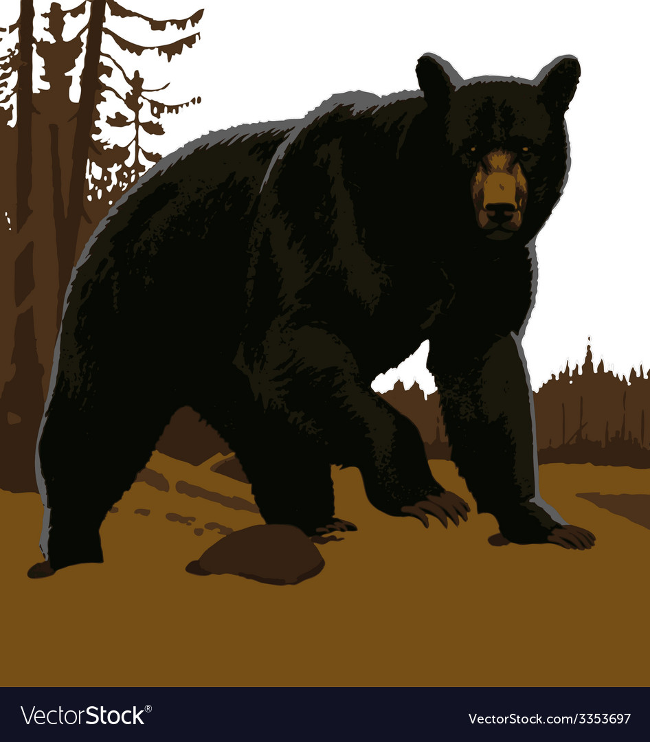 Bear Royalty Free Vector Image - VectorStock