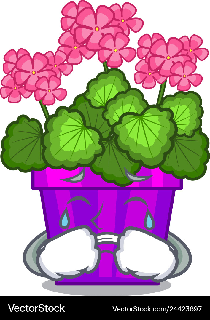 Crying geranium flowers in cartoon pot Royalty Free Vector