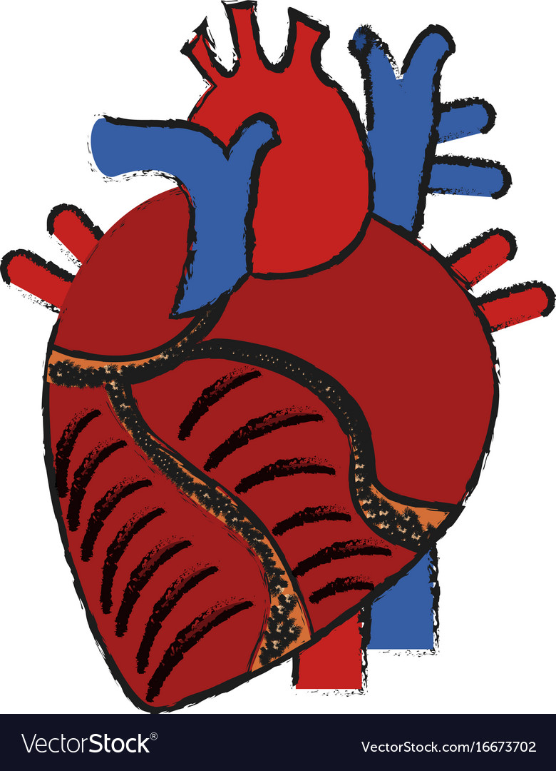 Heart Royalty Free Vector Image - VectorStock