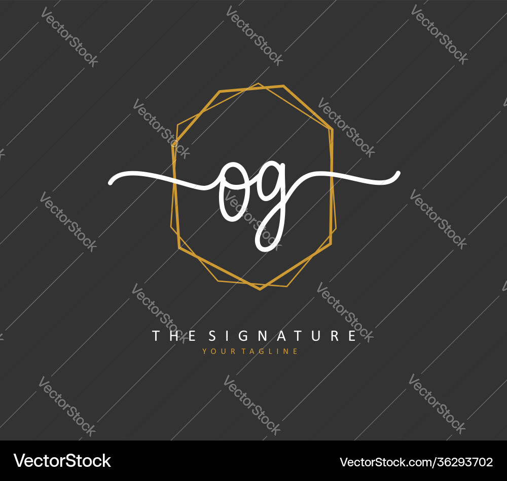 Og initial letter handwriting and signature logo Vector Image