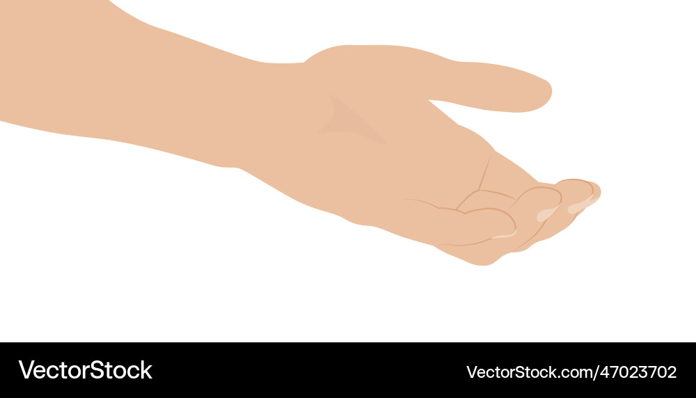 Woman hand on white background flat design Vector Image