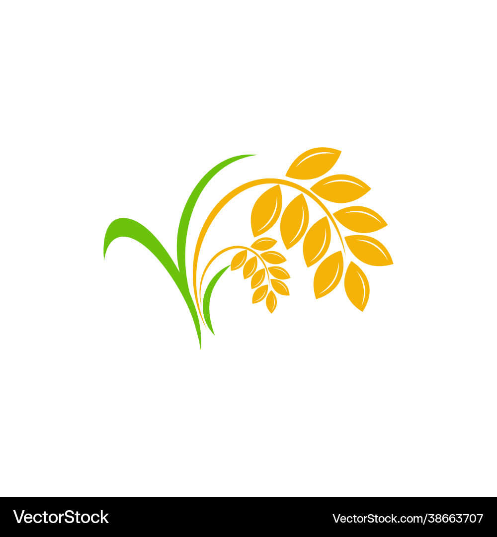 Agriculture wheat rice icon design Royalty Free Vector Image
