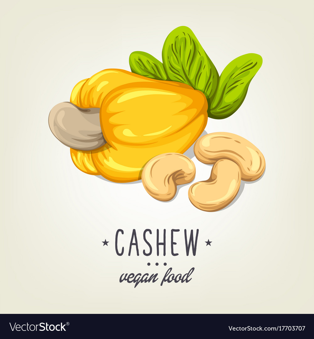 Colourful cashew icon isolated on background Vector Image Colourful cashew icon isolated on background Vector Image