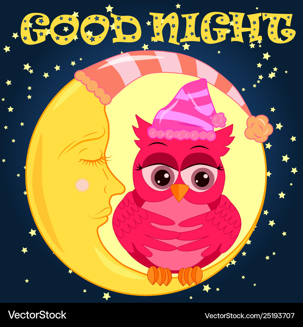 Good night card with cute sleeping owl Royalty Free Vector