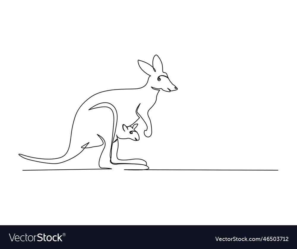 Continuous one line drawing of kangaroo simple Vector Image