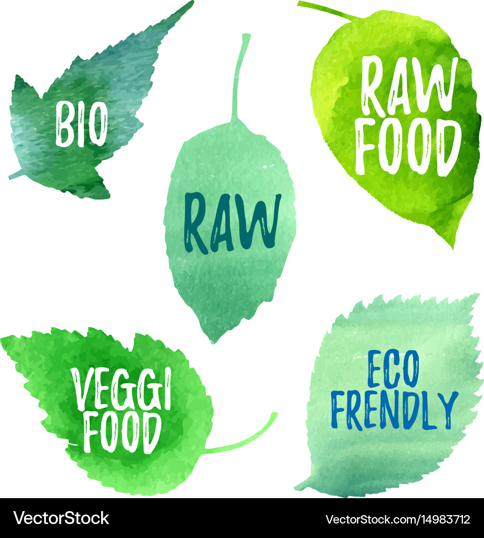 Green leaves with words raw eco bio Royalty Free Vector