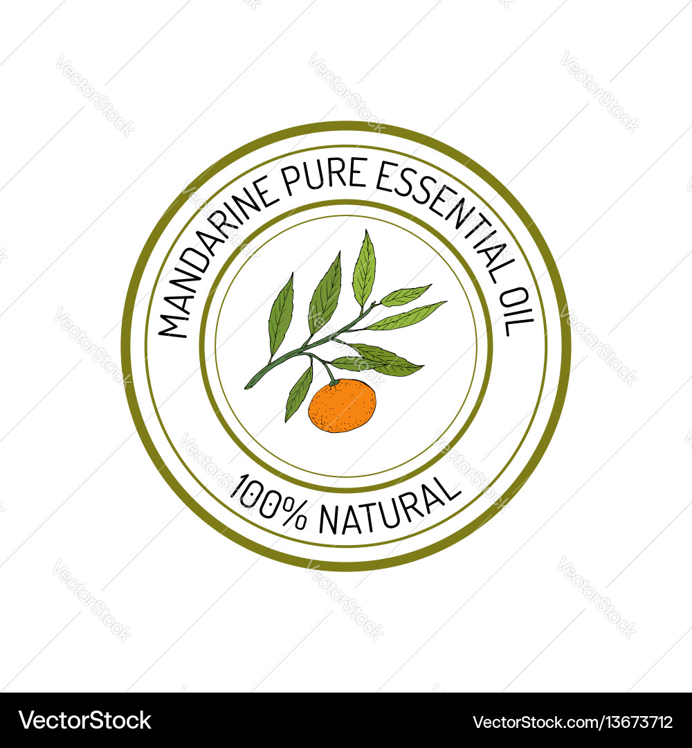 Mandarin essential oil label aromatic plant Vector Image