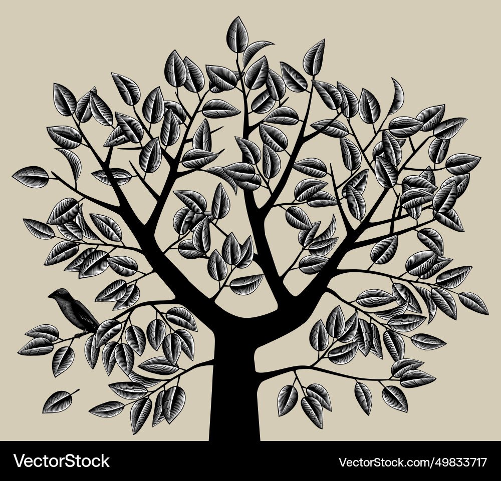 Engraved vintage drawing of tree trunk Royalty Free Vector