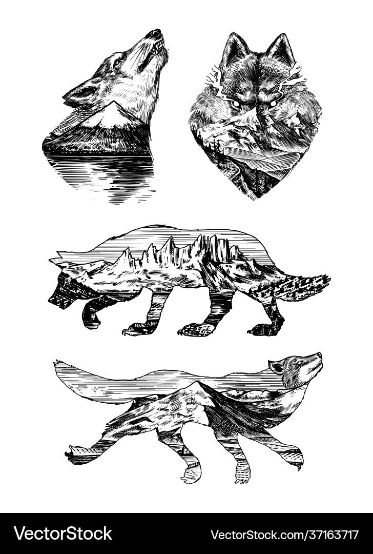 Gray wolf logo and badge forest and mountain Vector Image