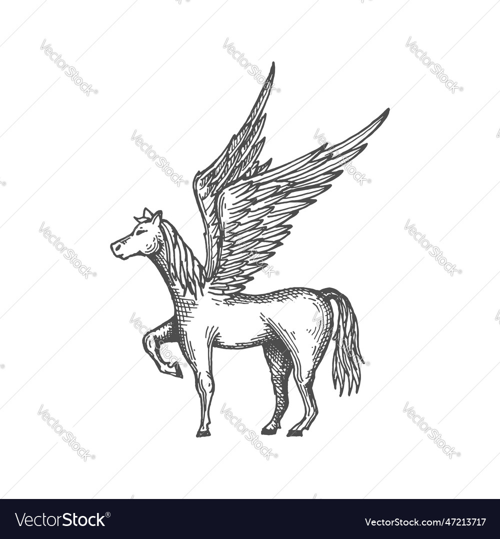 Greek pegasus with wings strong mythology animal Vector Image