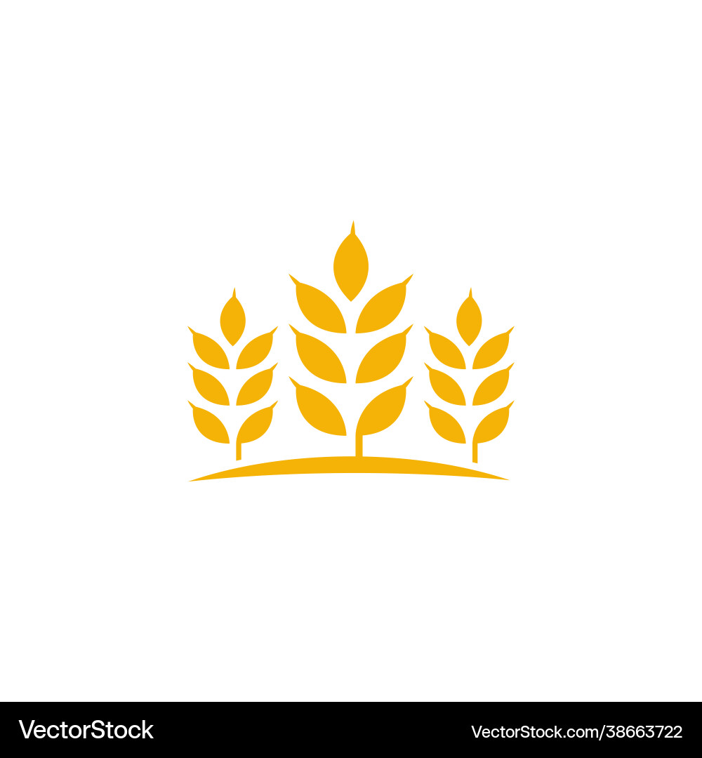 Agriculture wheat rice icon design Royalty Free Vector Image