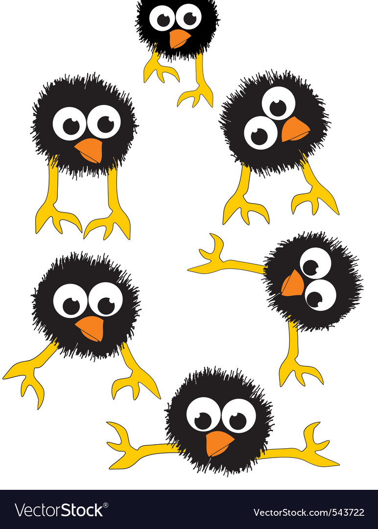 Chicks Royalty Free Vector Image - VectorStock