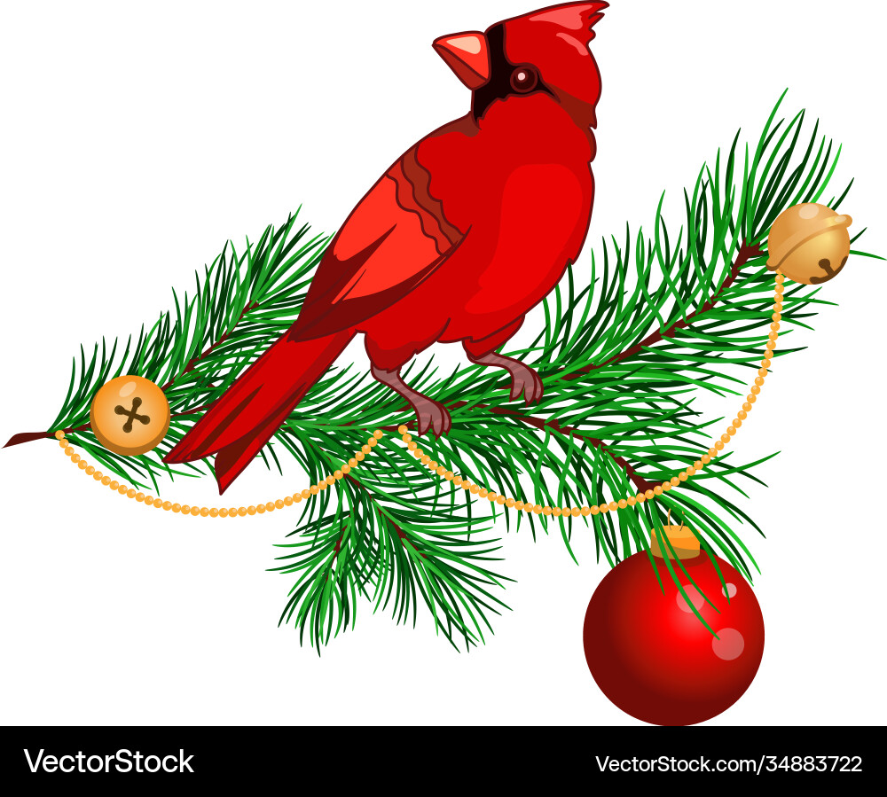 Christmas arrangement with cardinal bird Vector Image