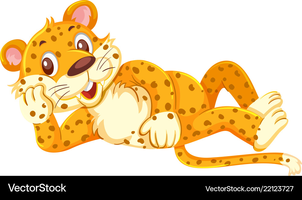 A leopard lying on white background Royalty Free Vector