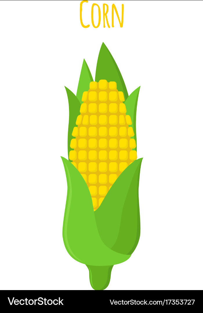 Corn vegetarian food cartoon flat style Royalty Free Vector
