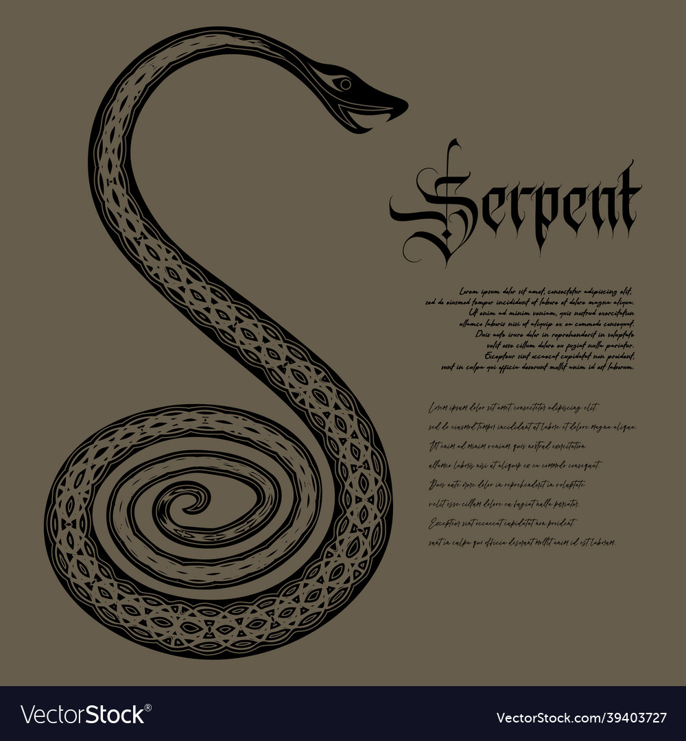 Coiled Snake Illustration