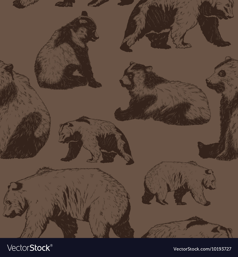 Pattern with wild bear Royalty Free Vector Image