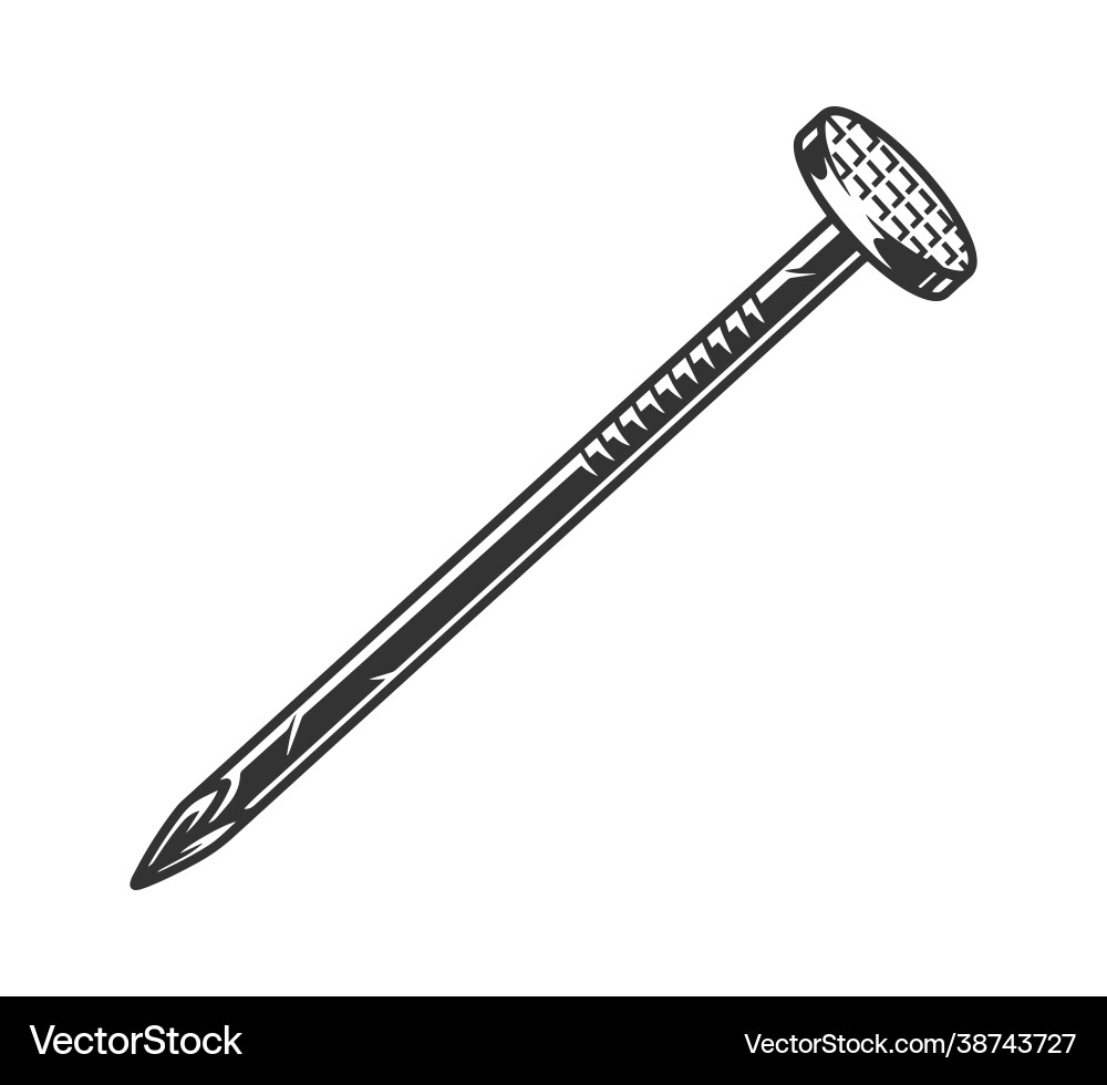 Steel nail vintage concept Royalty Free Vector Image