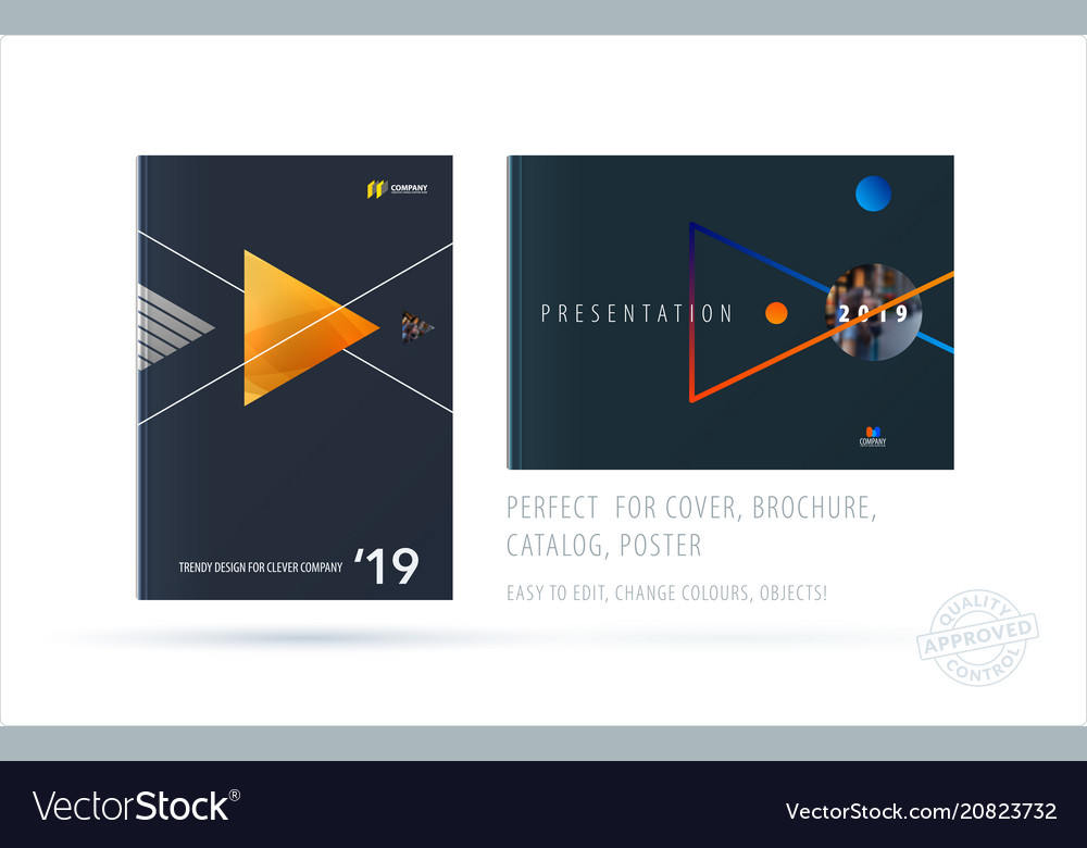Brochure design triangular template colourful Vector Image