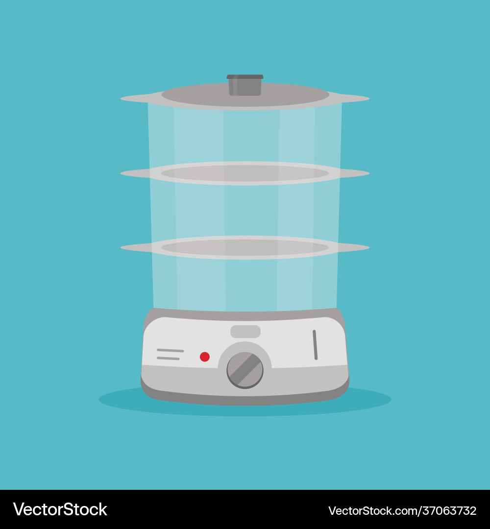 Electric food steamer on blue background Vector Image