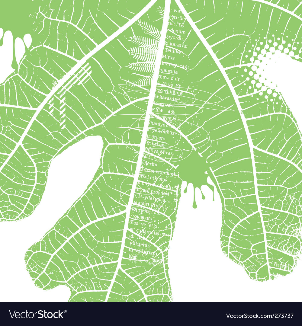 Leaf Royalty Free Vector Image - VectorStock