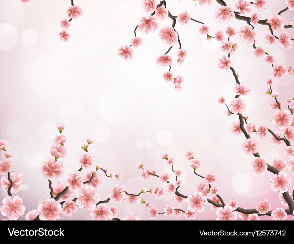 Realistic japan cherry branch eps 10 Royalty Free Vector