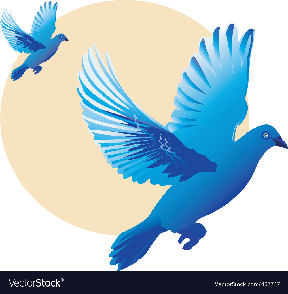 Bird Royalty Free Vector Image - VectorStock