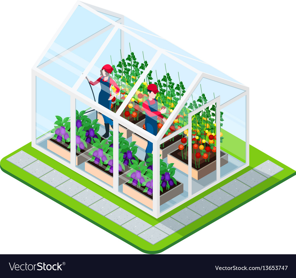 Greenhouse isometric concept Royalty Free Vector Image Greenhouse isometric concept Royalty Free Vector Image