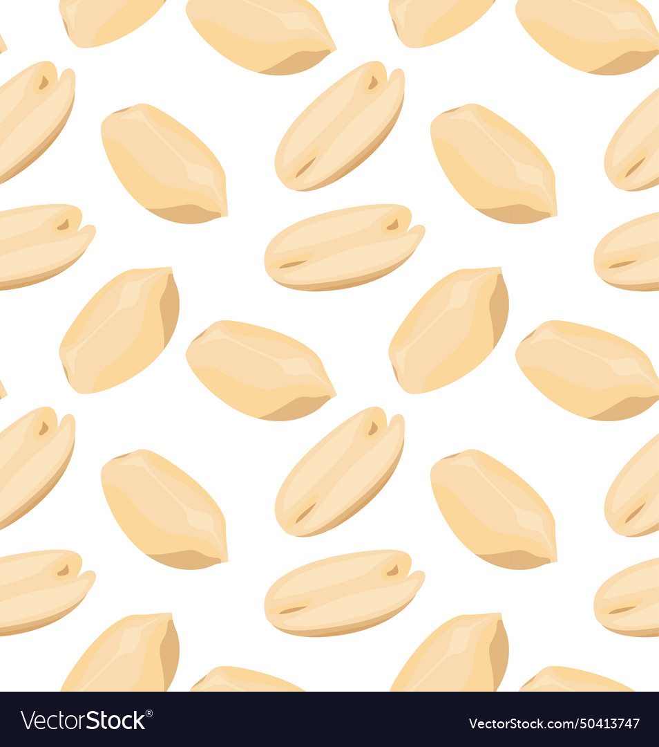 Peanut kernels peeled seamless pattern Royalty Free Vector