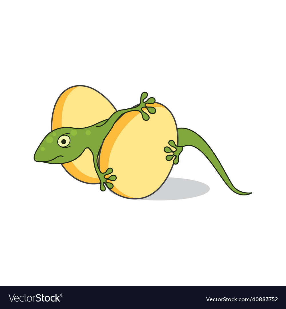 Lizard with egg pose 8 Royalty Free Vector Image