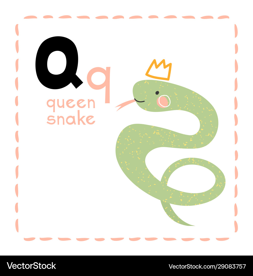 Alphabet letter q for queen snake teaching Vector Image