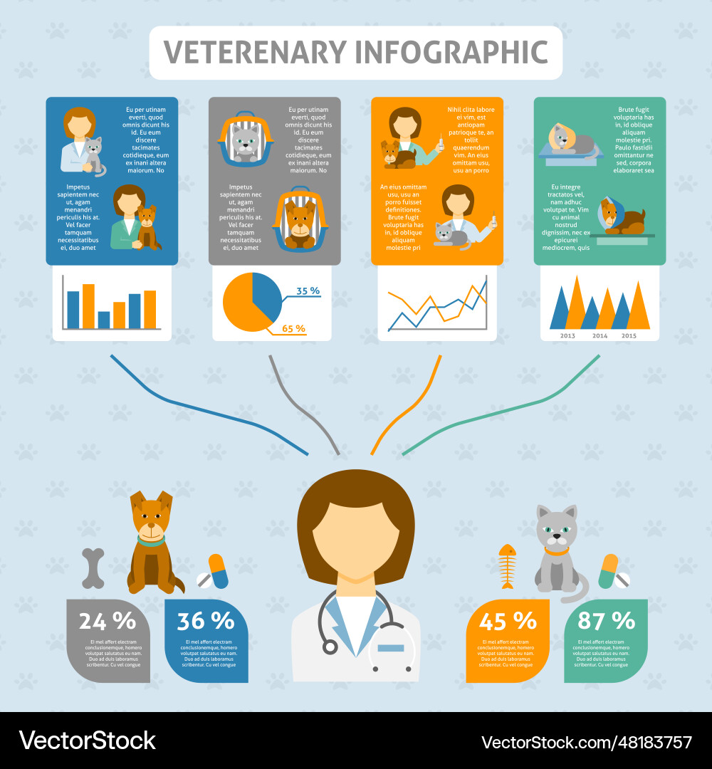 Veterinary clinic infographic chart banner Vector Image