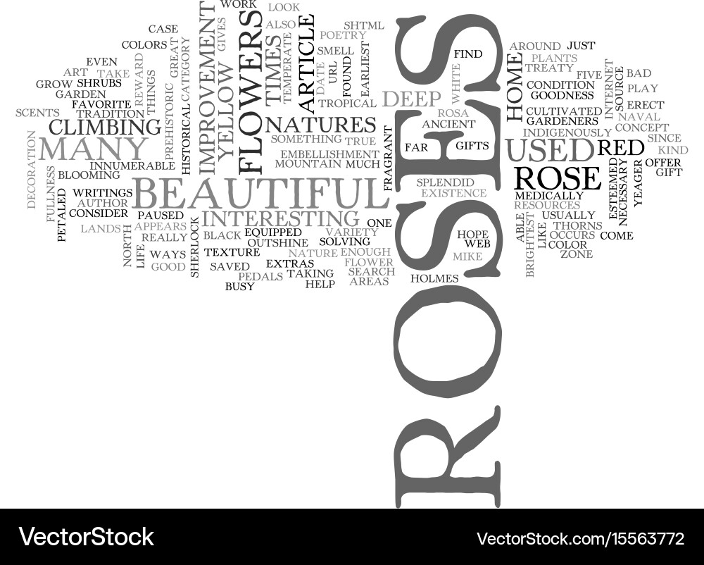 A beautiful rose is natures gift text word cloud Vector Image