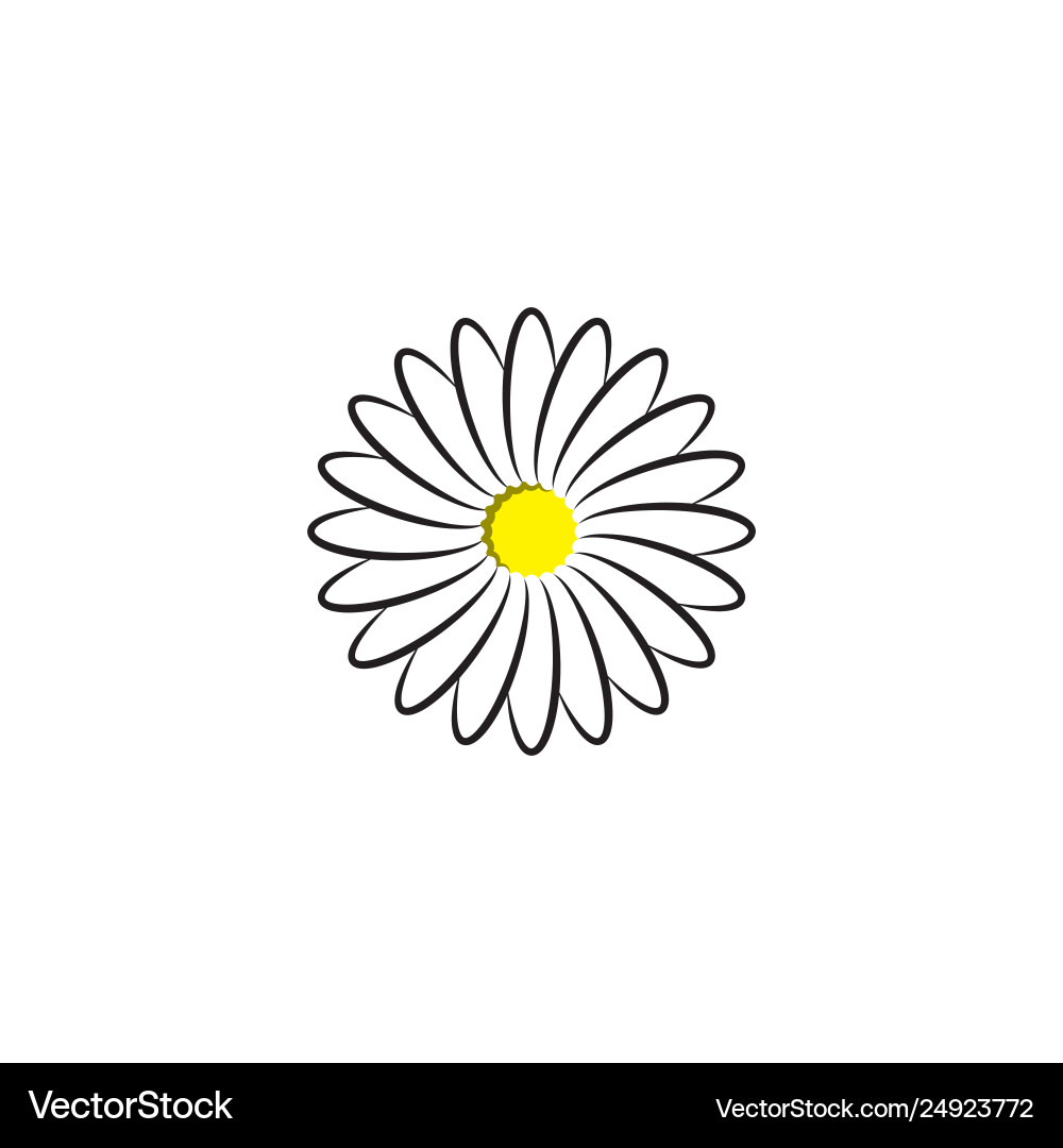 Chamomile logo flower plant herb icon design Vector Image