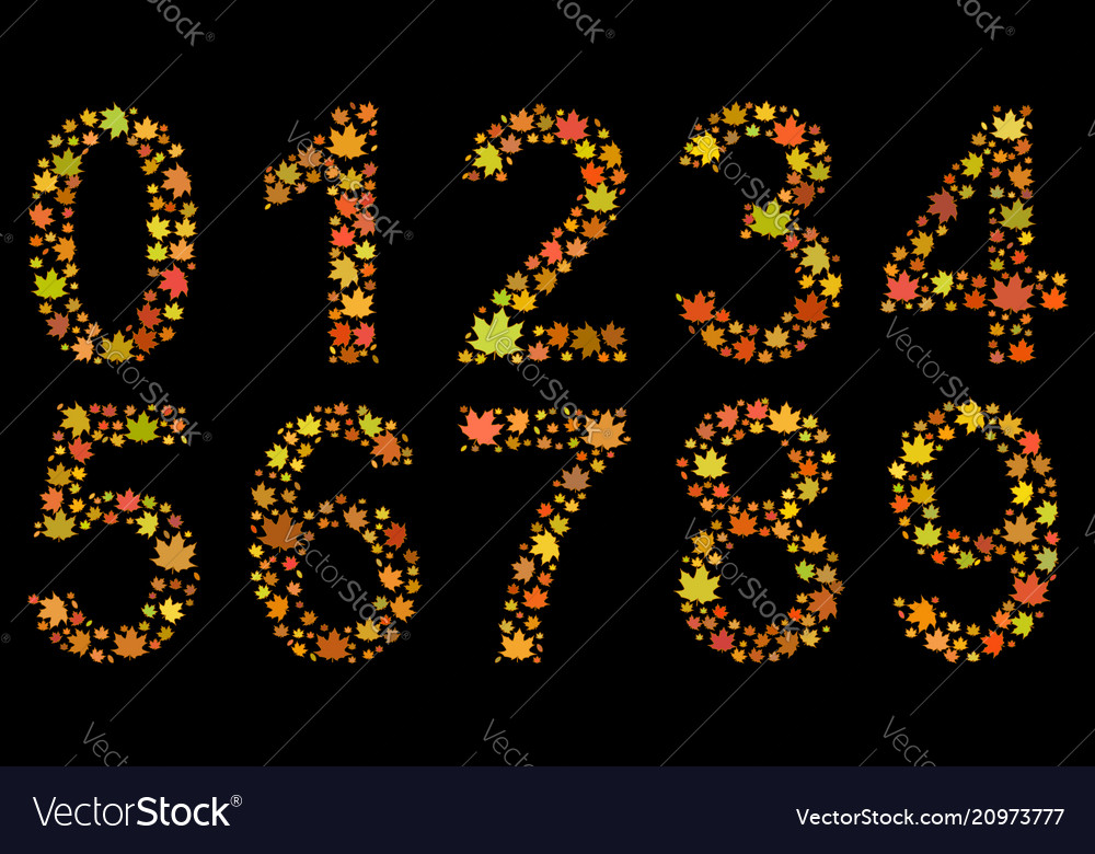 Digits consisting of autumn leaves Royalty Free Vector Image
