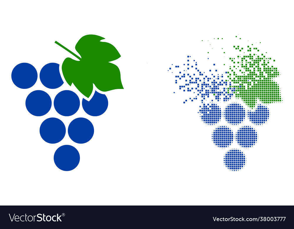 Disappearing pixelated and original grape bunch Vector Image Disappearing pixelated and original grape bunch Vector Image