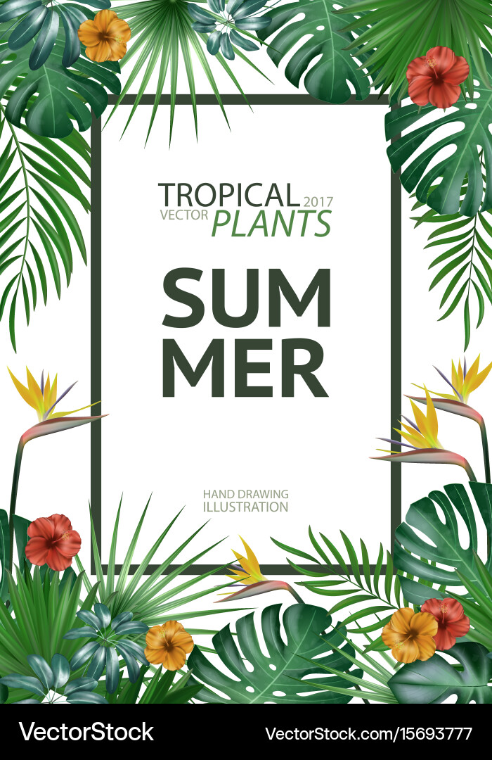 Tropical palm leaves background invitation or Vector Image