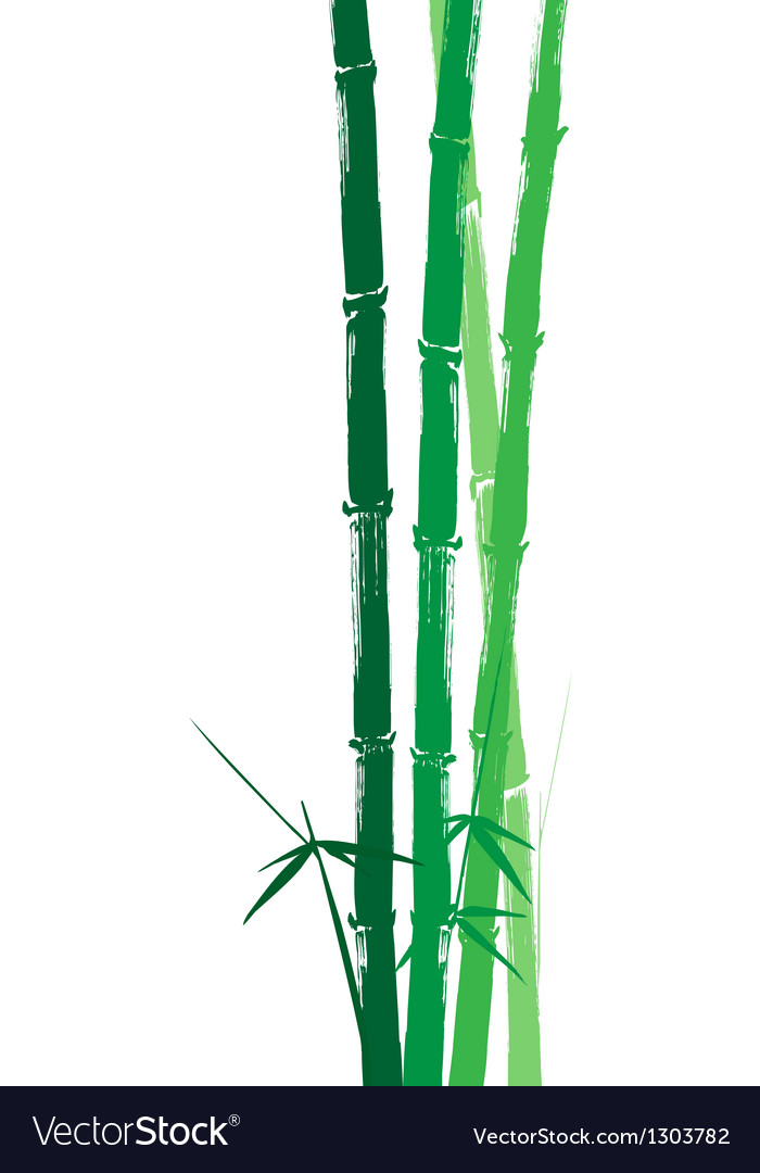 Bamboo Royalty Free Vector Image - VectorStock