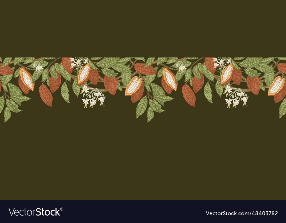 Seamless border with cocoa Royalty Free Vector Image