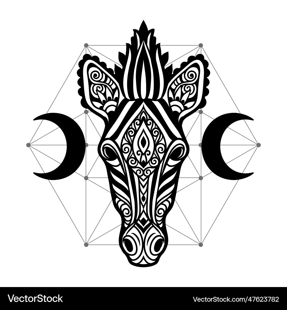Zebra mandala adult coloring Royalty Free Vector Image