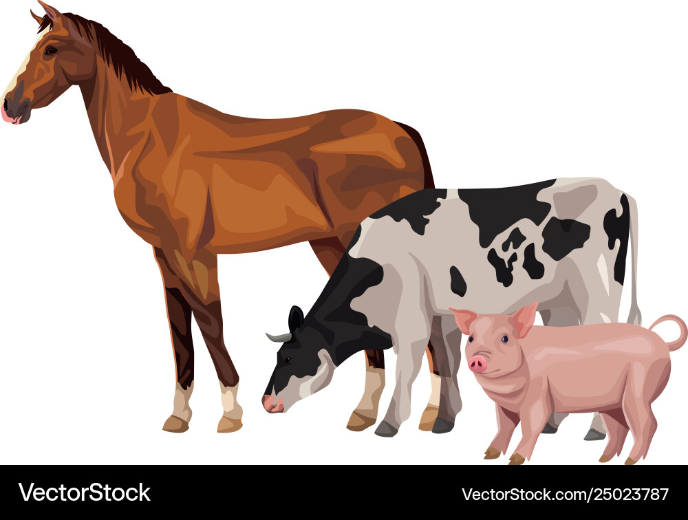Horse cow and pig Royalty Free Vector Image - VectorStock
