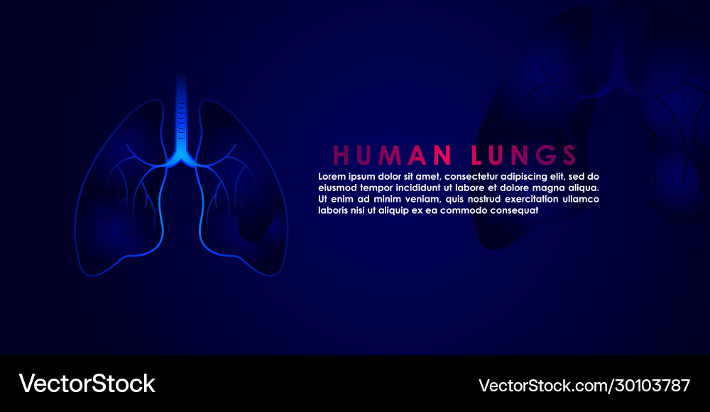 Human lungs art medicine design background Vector Image