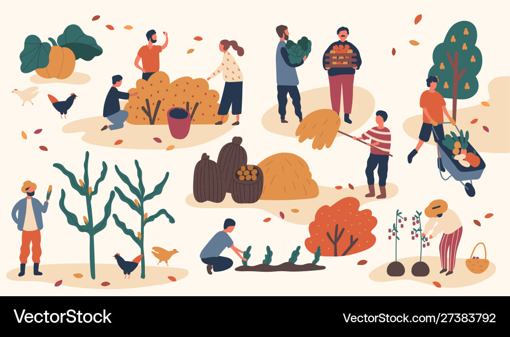 Autumn season harvest gathering flat Royalty Free Vector