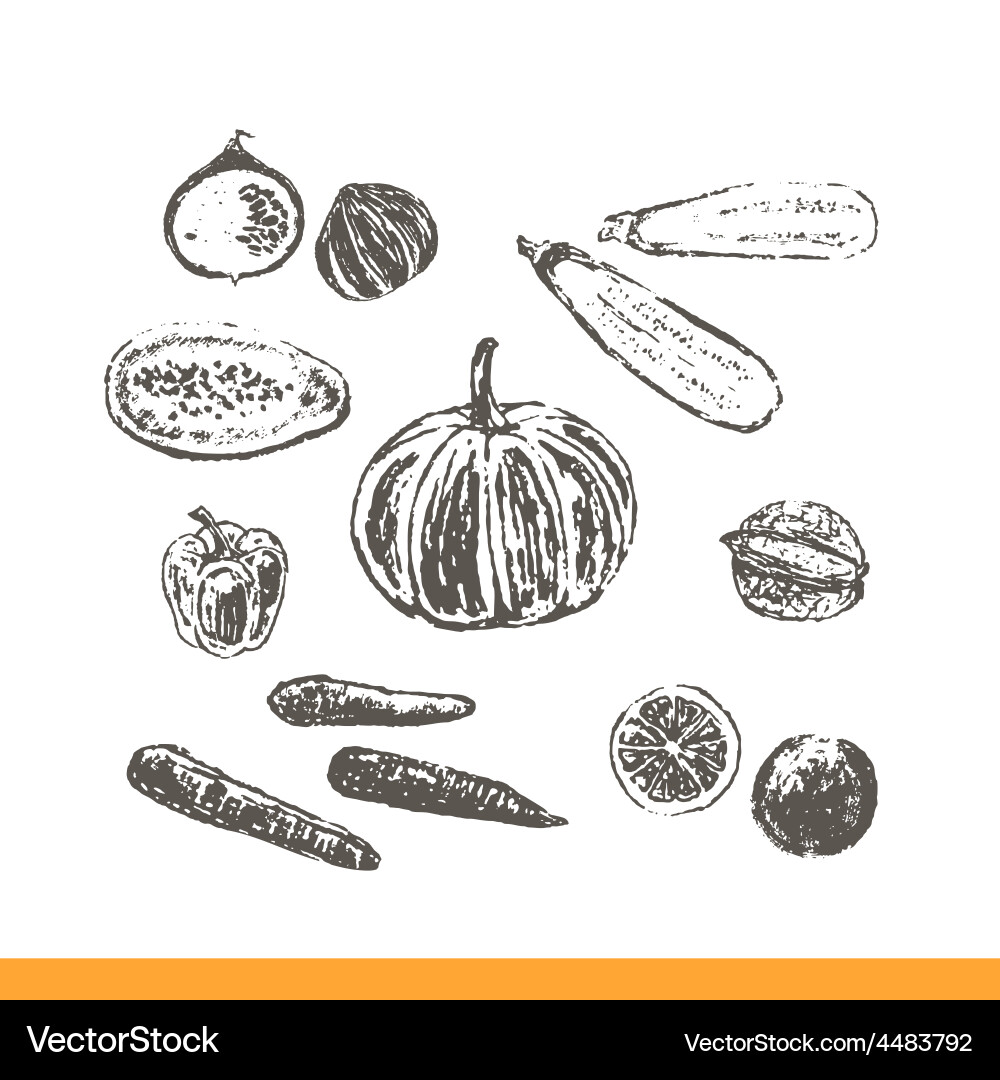 Ink hand drawn fruits and vegetables set Vector Image