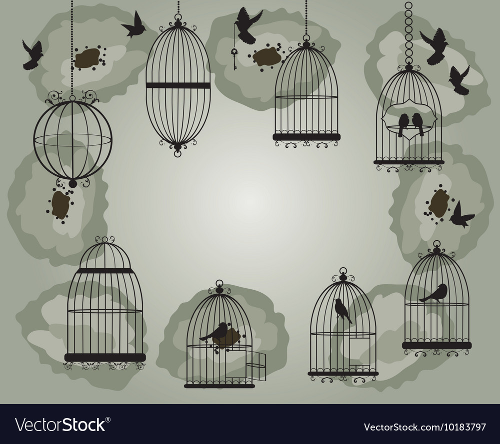 Cages Royalty Free Vector Image - VectorStock